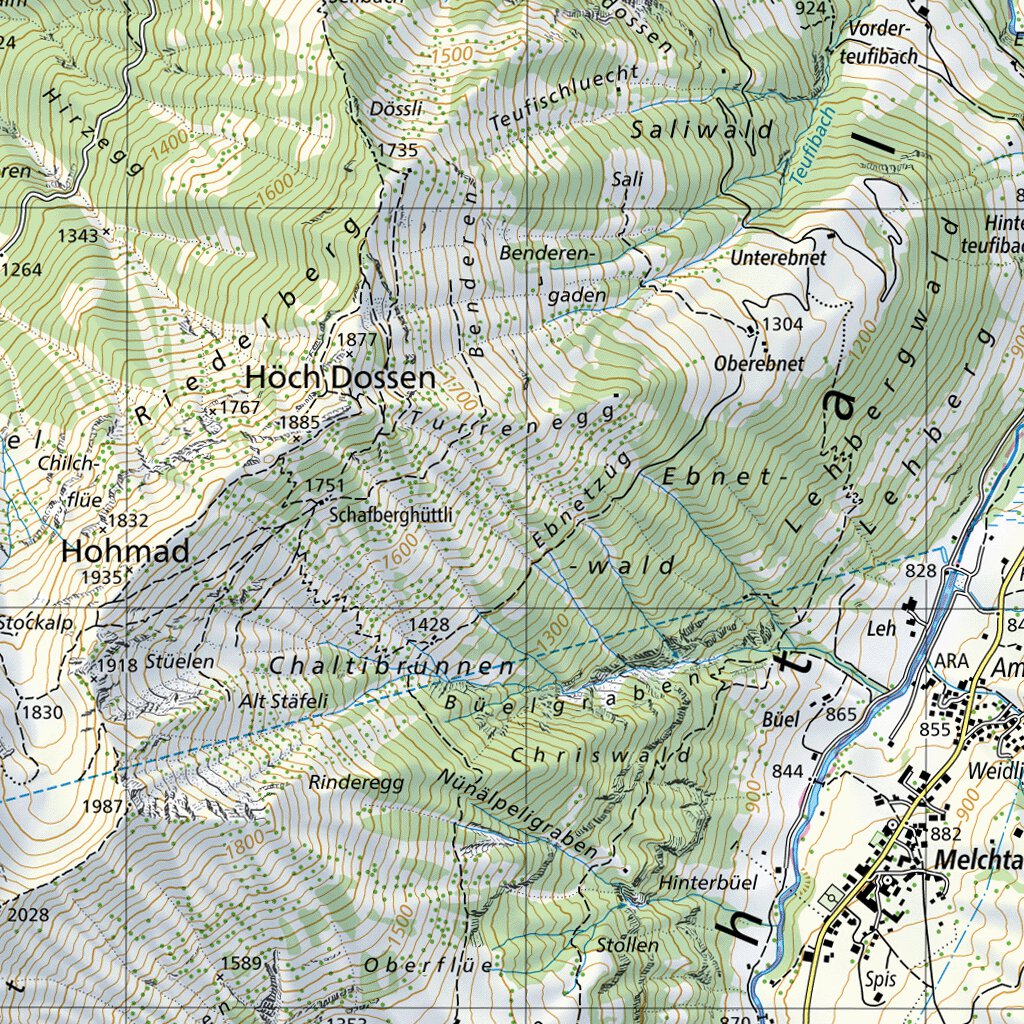 Flims / Flem, 1:25,000 Map by SwissTopo | Avenza Maps