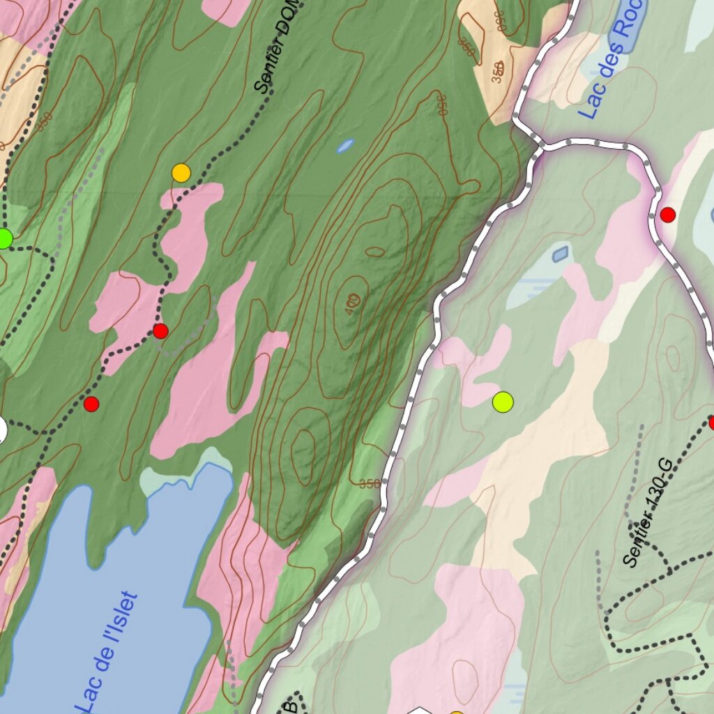 Carte écoforestière des zones 110 et DOMAINE - Orignal Map by Terfa ...