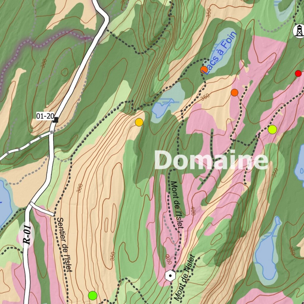 Carte écoforestière des zones 110 et DOMAINE - Orignal Map by Terfa | Avenza Maps
