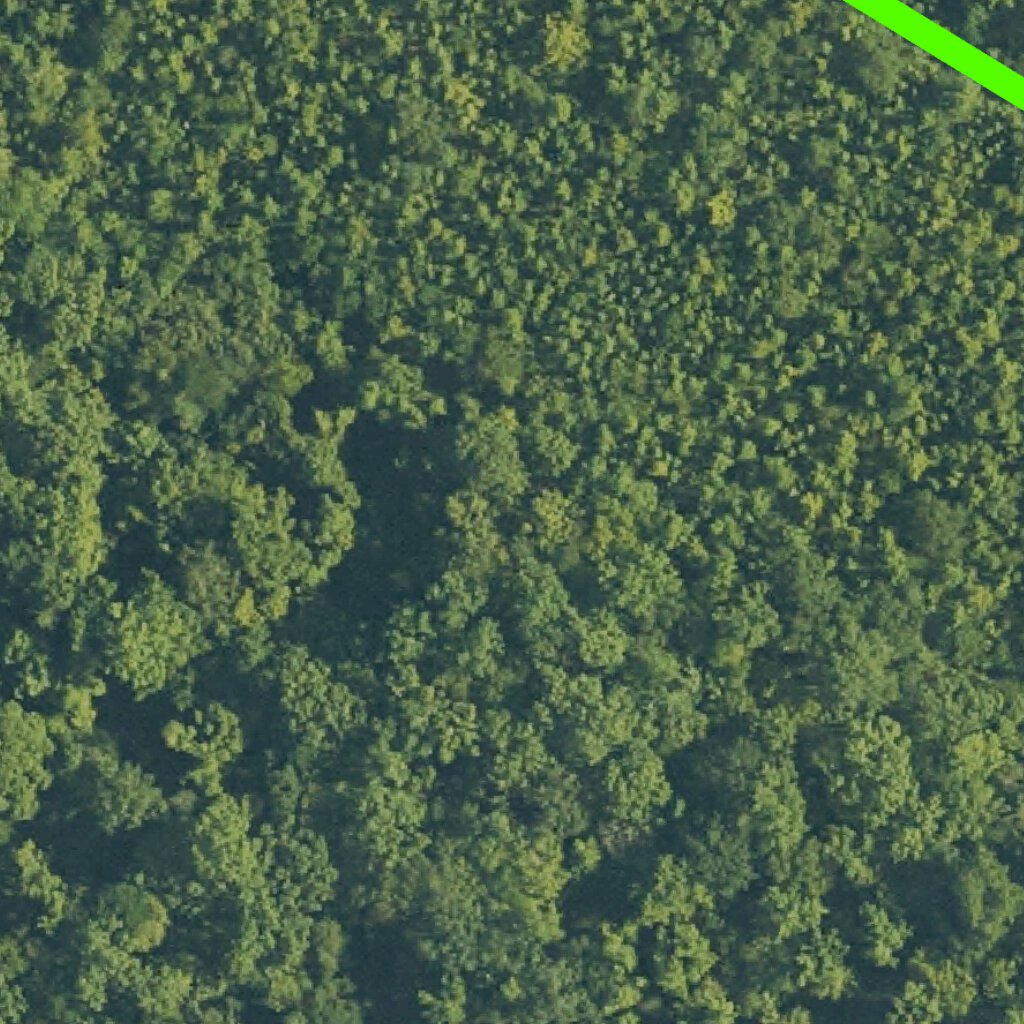 Cypress Island Mitigation Bank Trail Map by LA | Avenza Maps