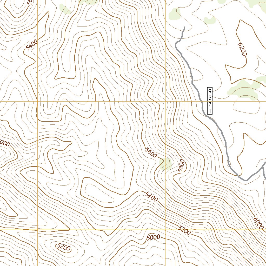 Algerita Canyon, NM (2020, 24000-Scale) Map by United States Geological ...