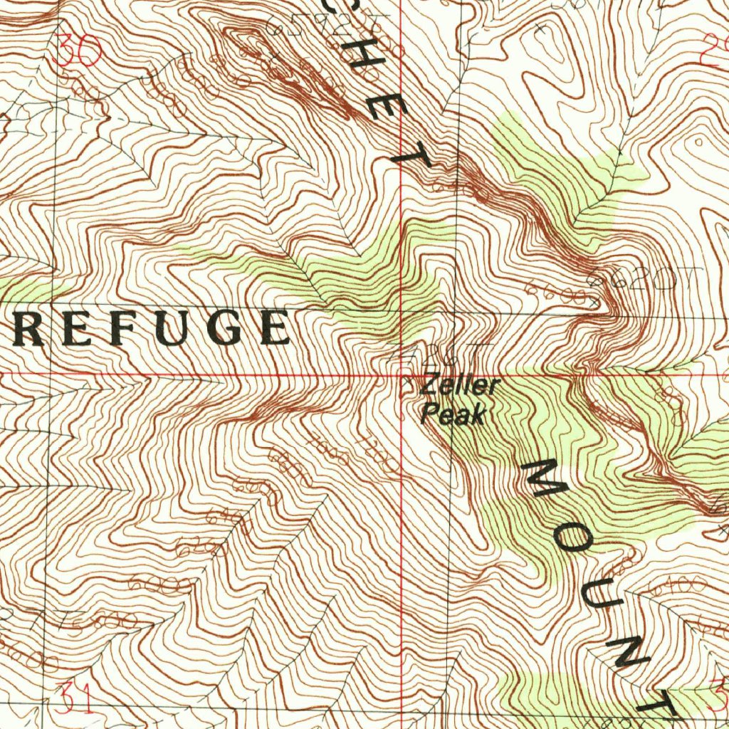 Big Hatchet Peak, NM (1982, 24000-Scale) Map by United States ...