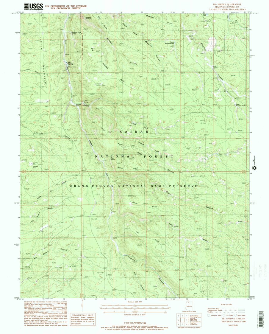 Big Springs, AZ (1988, 24000-Scale) Map by United States Geological ...