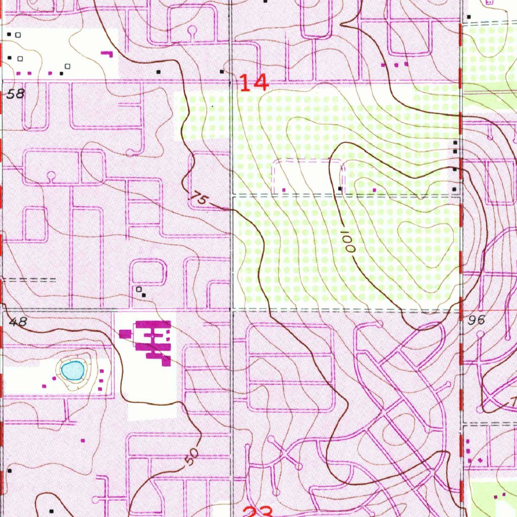 Brandon, FL (1956, 24000-Scale) Map by United States Geological Survey ...
