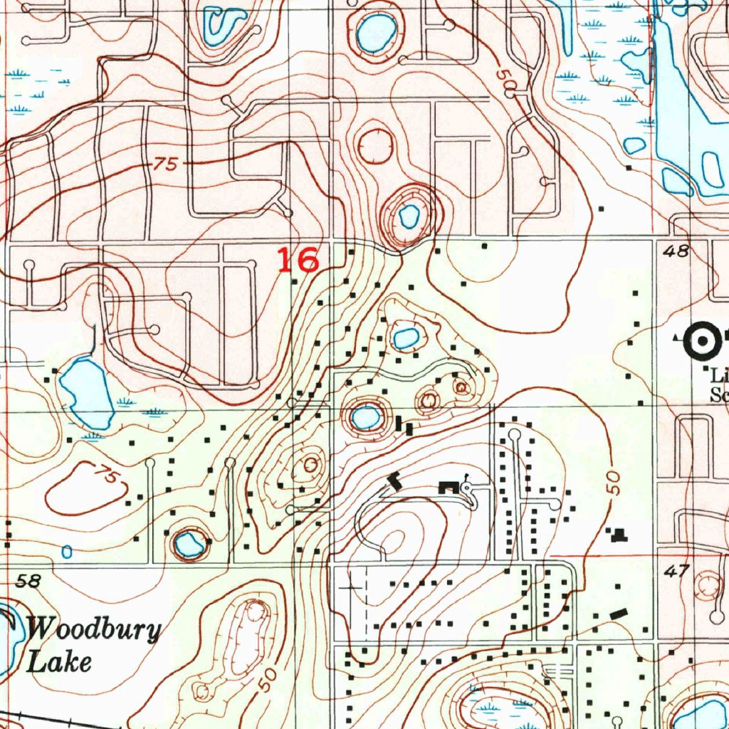 Brandon, FL (1999, 24000-Scale) Map by United States Geological Survey ...