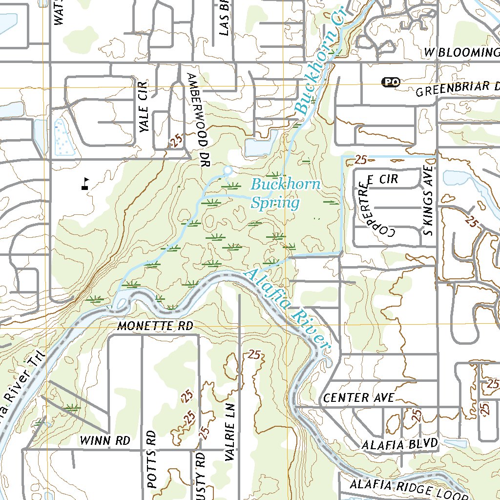 Brandon, FL (2021, 24000-Scale) Map by United States Geological Survey ...