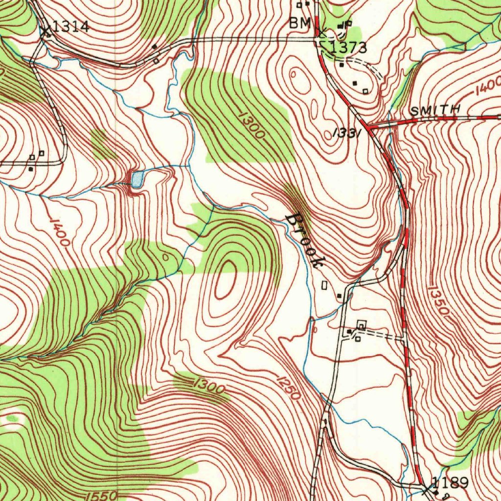 Brisben, NY (1949, 24000-Scale) Map by United States Geological Survey ...