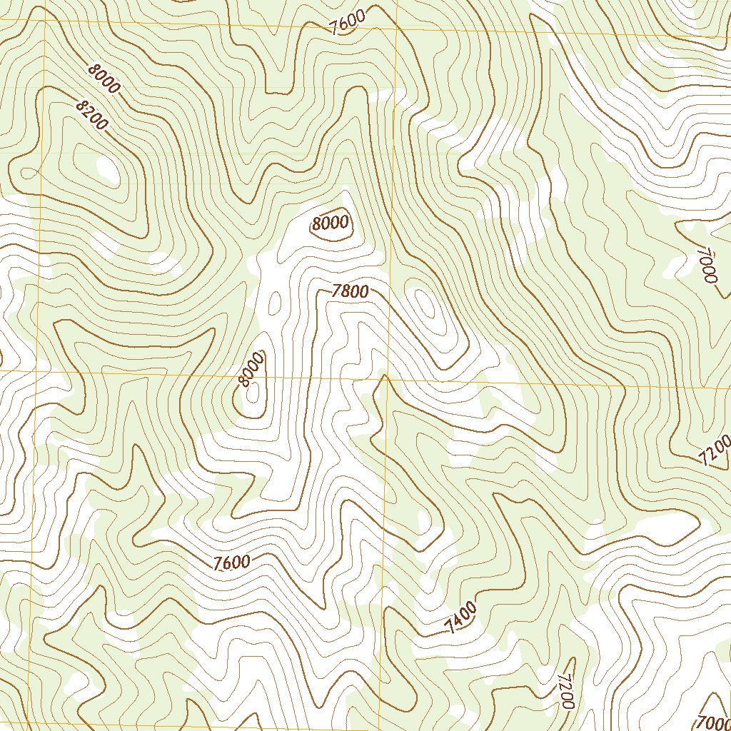 Cattle Camp Spring, NV (2021, 24000-Scale) Map by United States ...