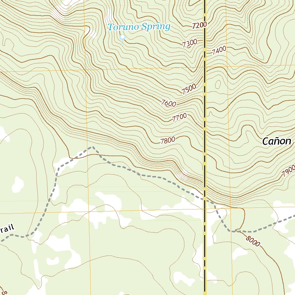 Cerro Parido, NM (2020, 24000-Scale) Map by United States Geological ...
