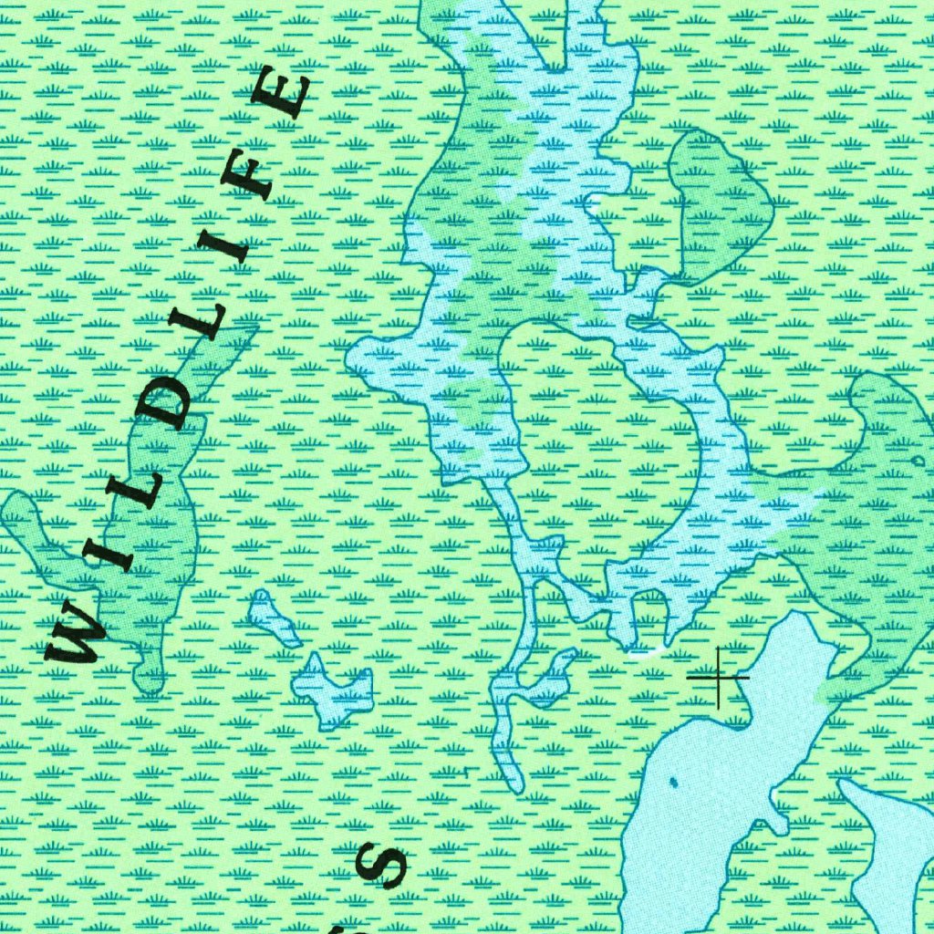 Chesser Island, GA (1994, 24000-Scale) Map by United States Geological ...