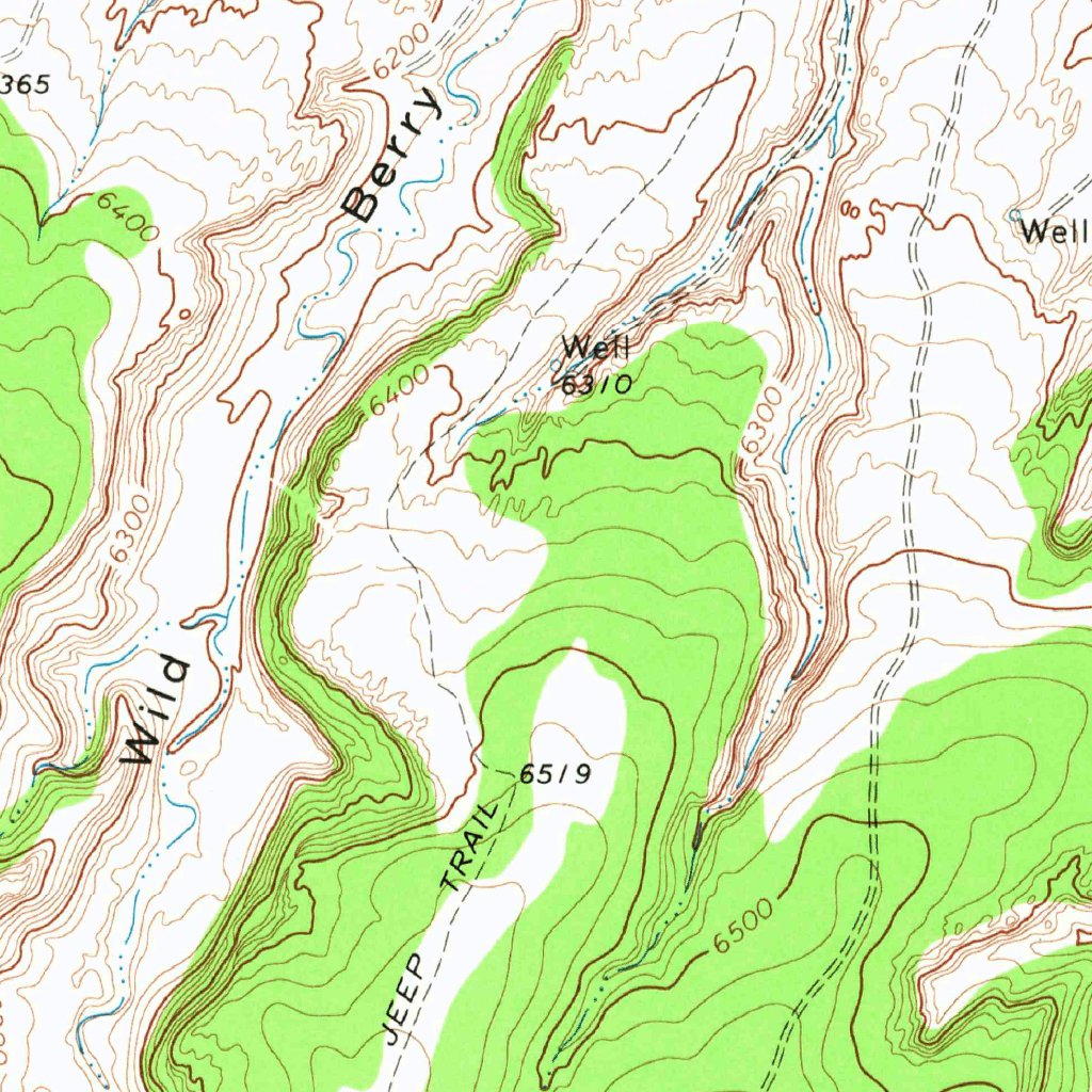 Coyote Canyon, NM (1970, 24000-Scale) Map by United States Geological ...