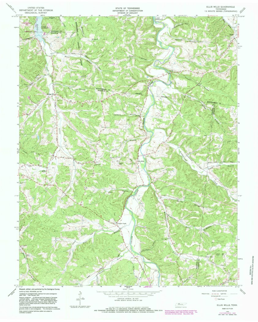Ellis Mills, TN (1965, 24000-Scale) Map by United States Geological ...