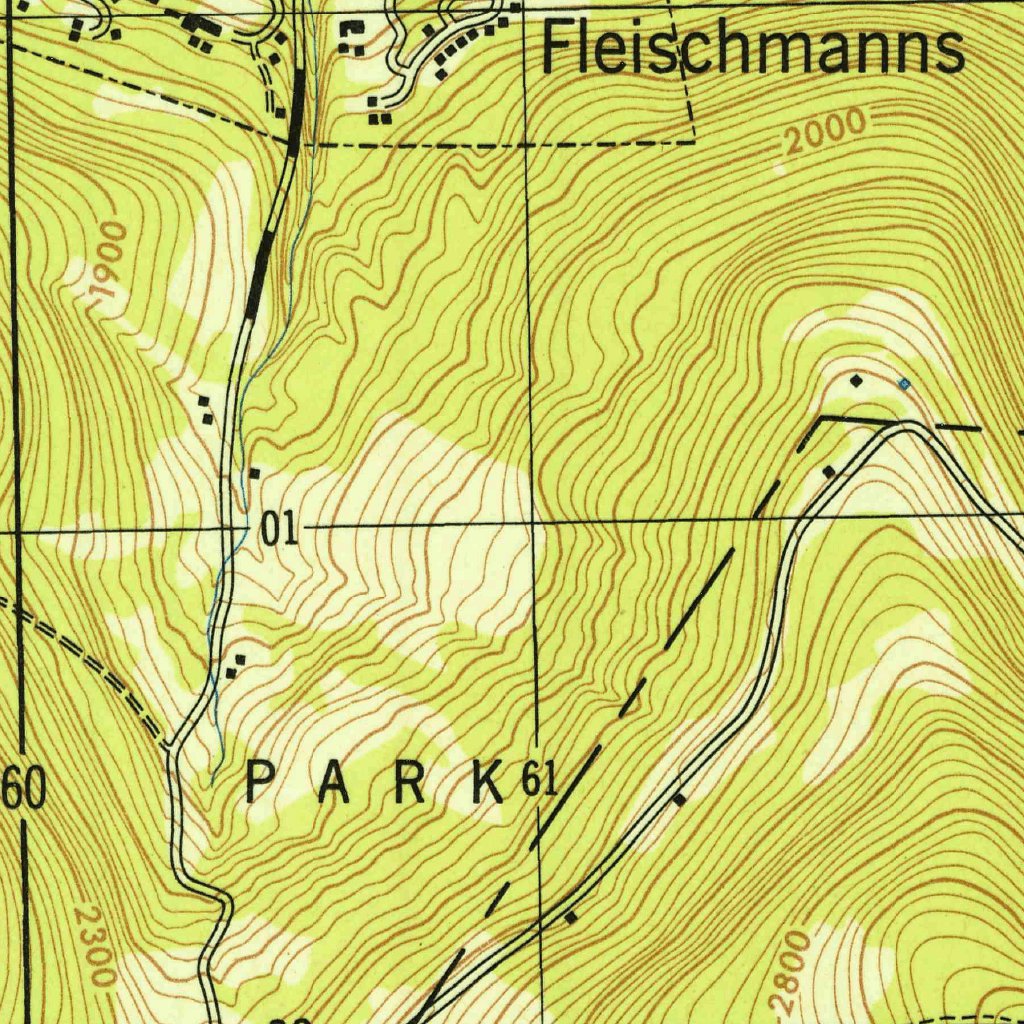 Fleischmanns, NY (1946, 24000-Scale) Map by United States Geological ...