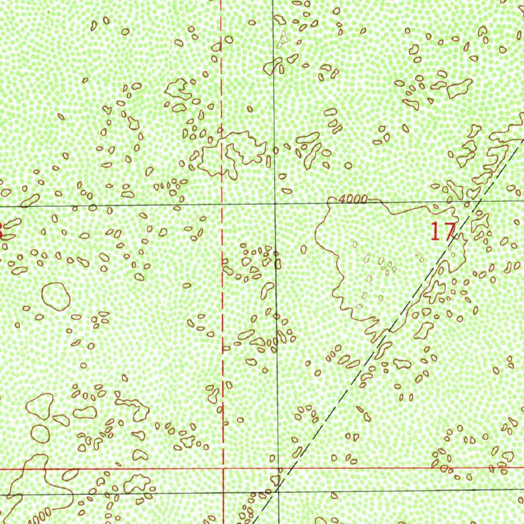 Foster Lake, NM (1982, 24000-Scale) Map by United States Geological ...