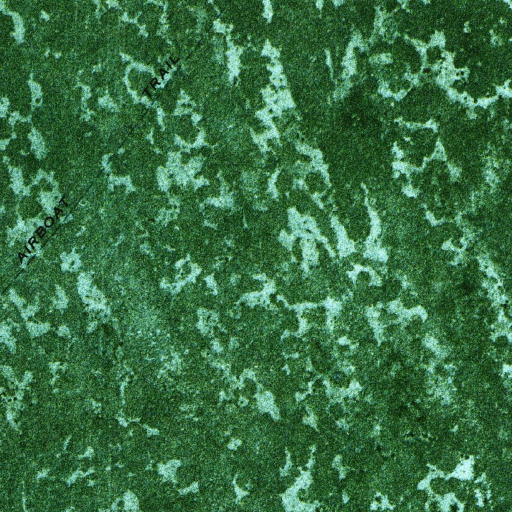 Gator Lake, FL (1973, 24000-Scale) Map by United States Geological ...