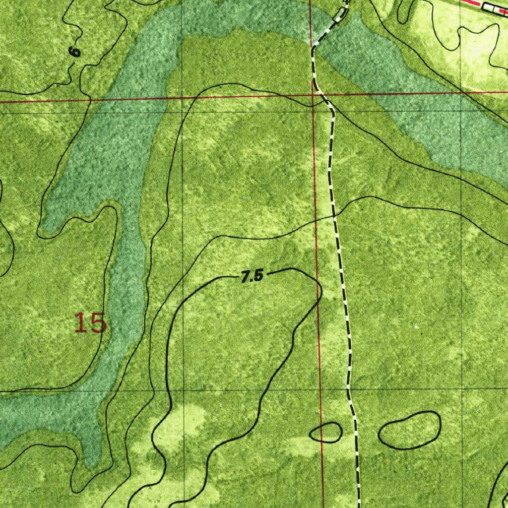 Gross, FL-GA (1979, 24000-Scale) Map by United States Geological Survey ...