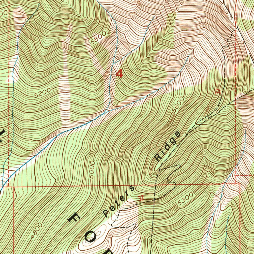 Hash Mountain, MT (1994, 24000-Scale) Map by United States Geological ...
