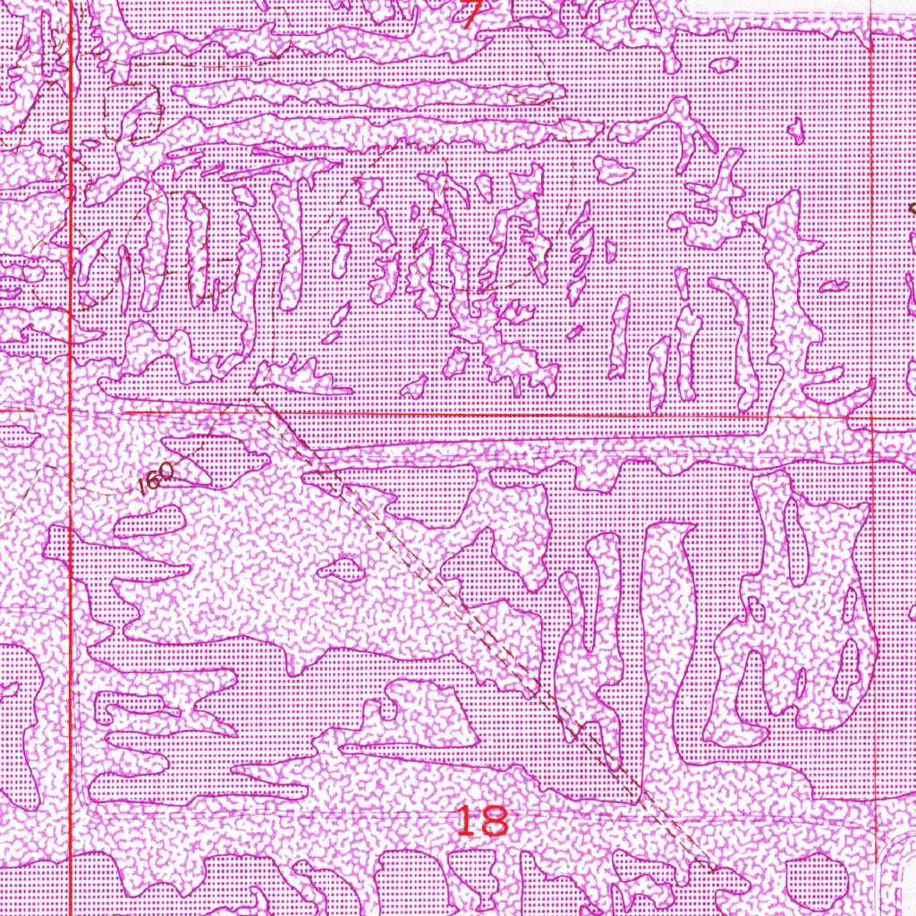 Homeland, FL (1952, 24000-Scale) Map by United States Geological Survey ...