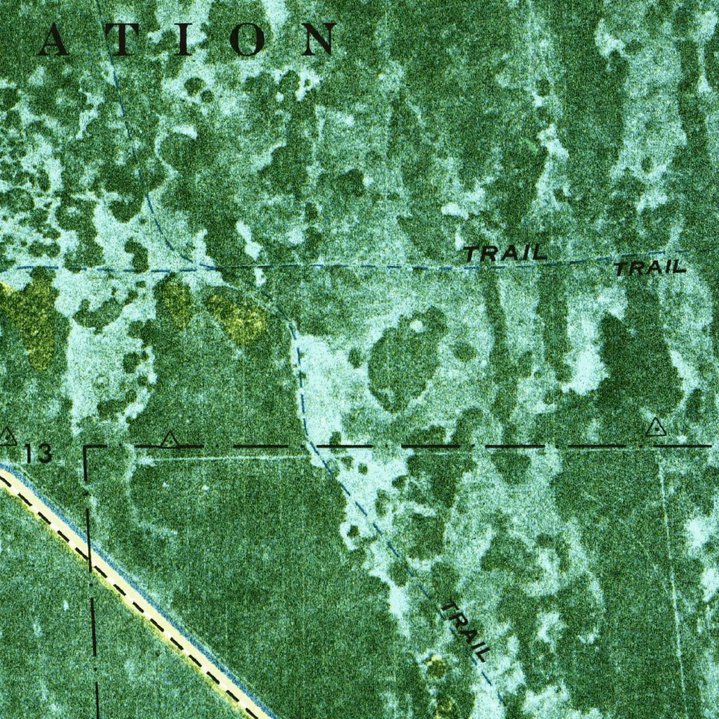 Lone Palm Head, FL (1973, 24000-Scale) Map by United States Geological ...