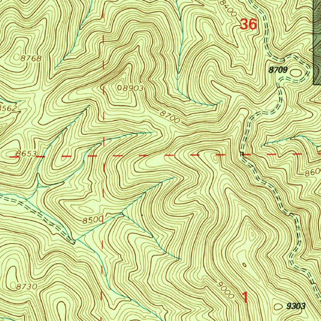 Monica Saddle, NM (1995, 24000-Scale) Map by United States Geological ...