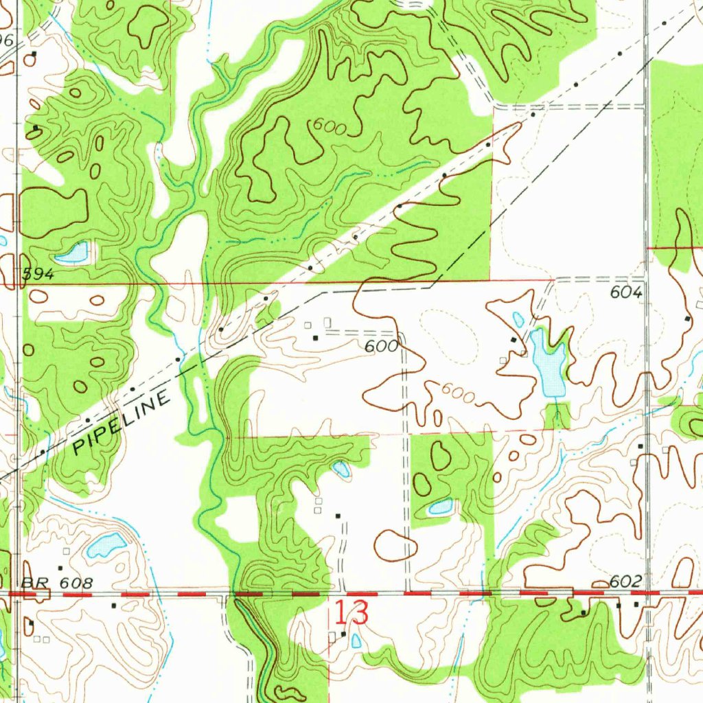 New Douglas, IL (1974, 24000-Scale) Map by United States Geological ...