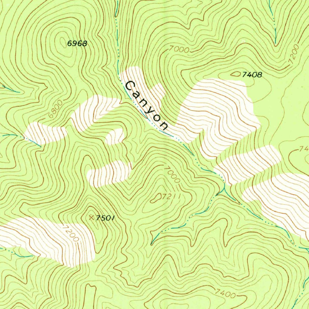 O Block Canyon, NM (1963, 24000-Scale) Map by United States Geological ...