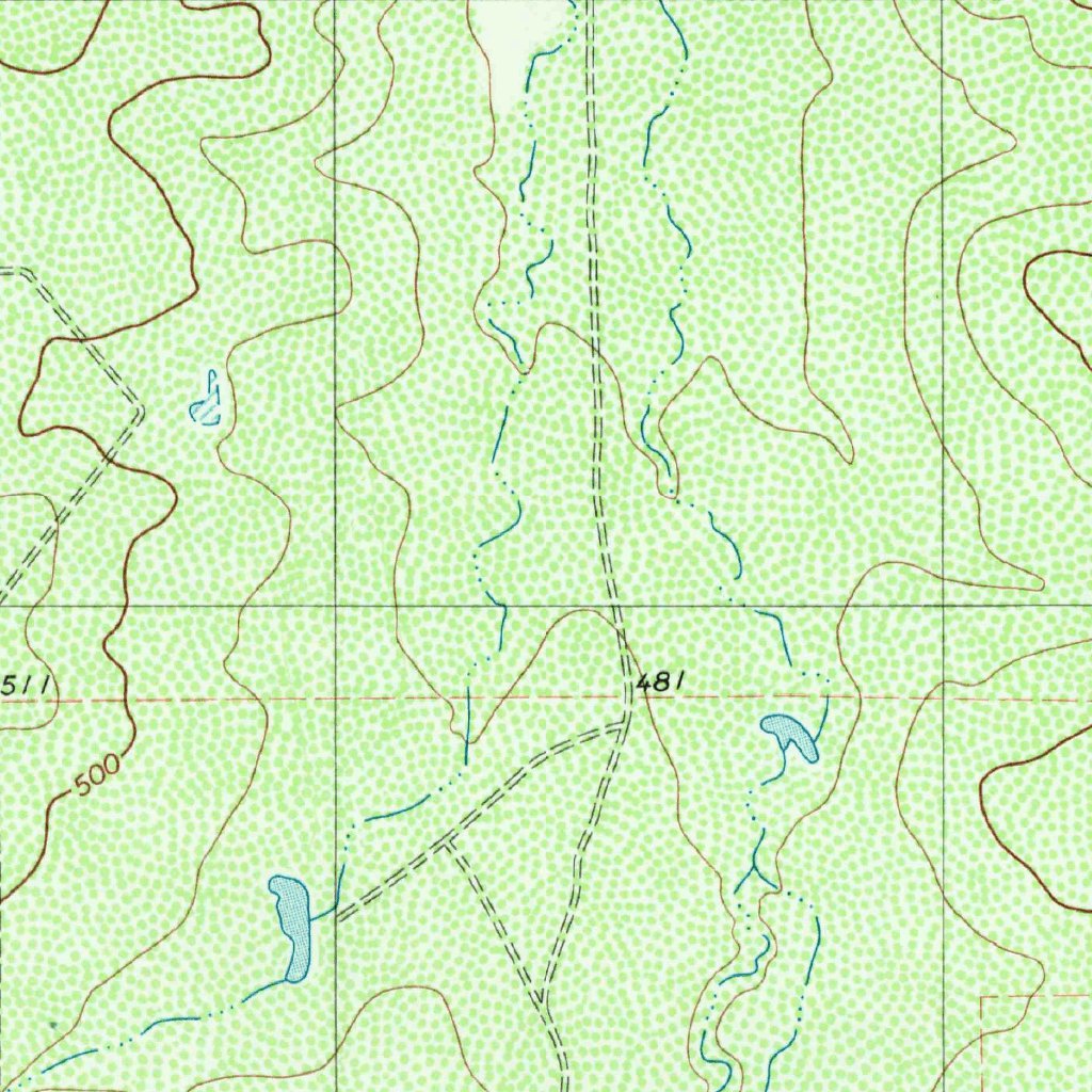 Pato Creek, TX (1980, 24000-Scale) Map by United States Geological ...