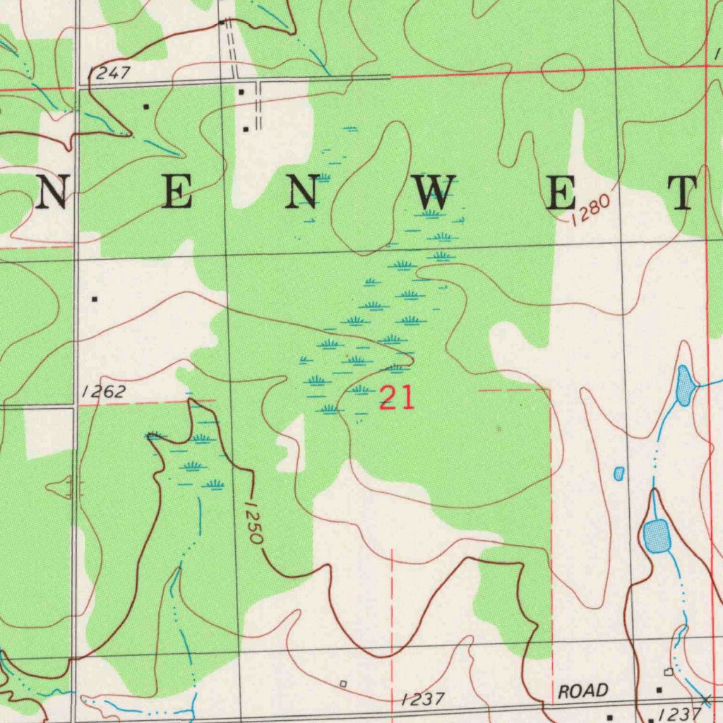 Peplin, WI (1982, 24000-Scale) Map by United States Geological Survey ...