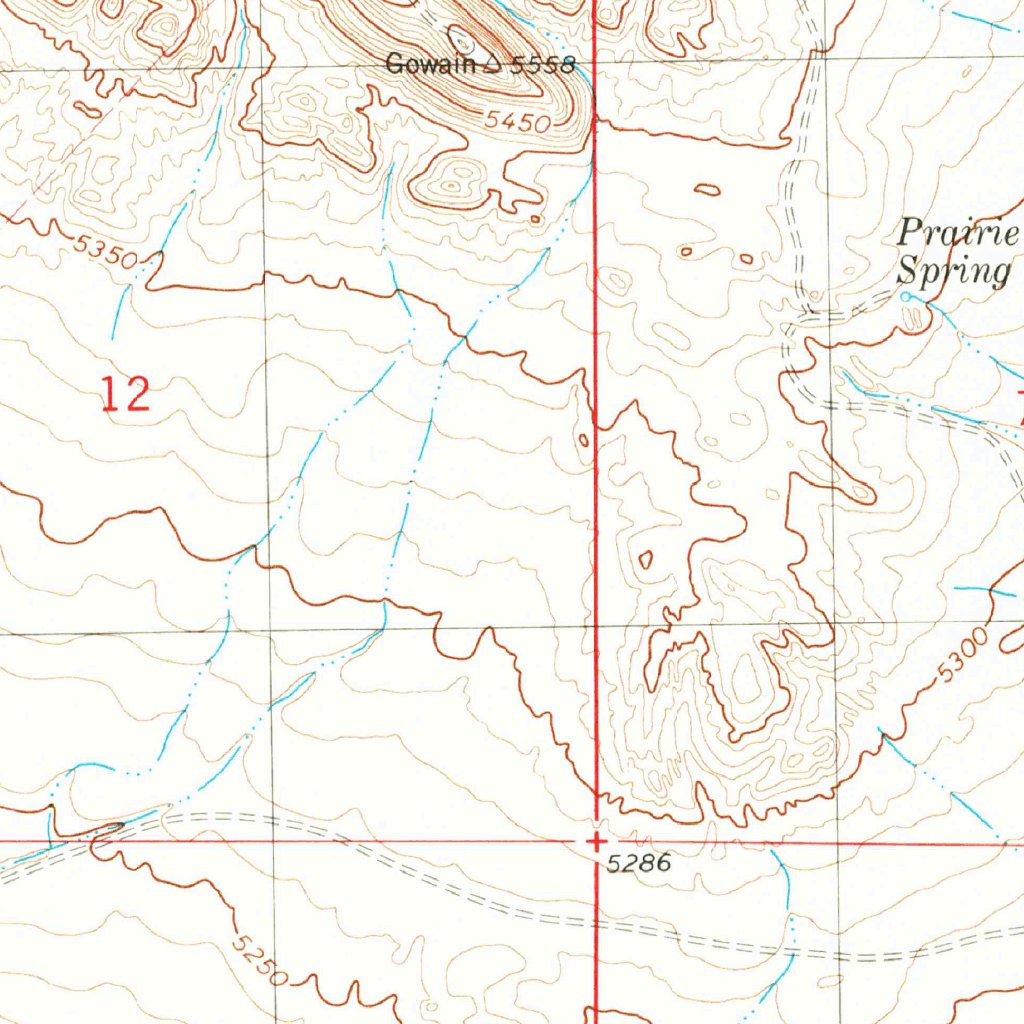 Prairie Spring, NM (1982, 24000-Scale) Map by United States Geological ...