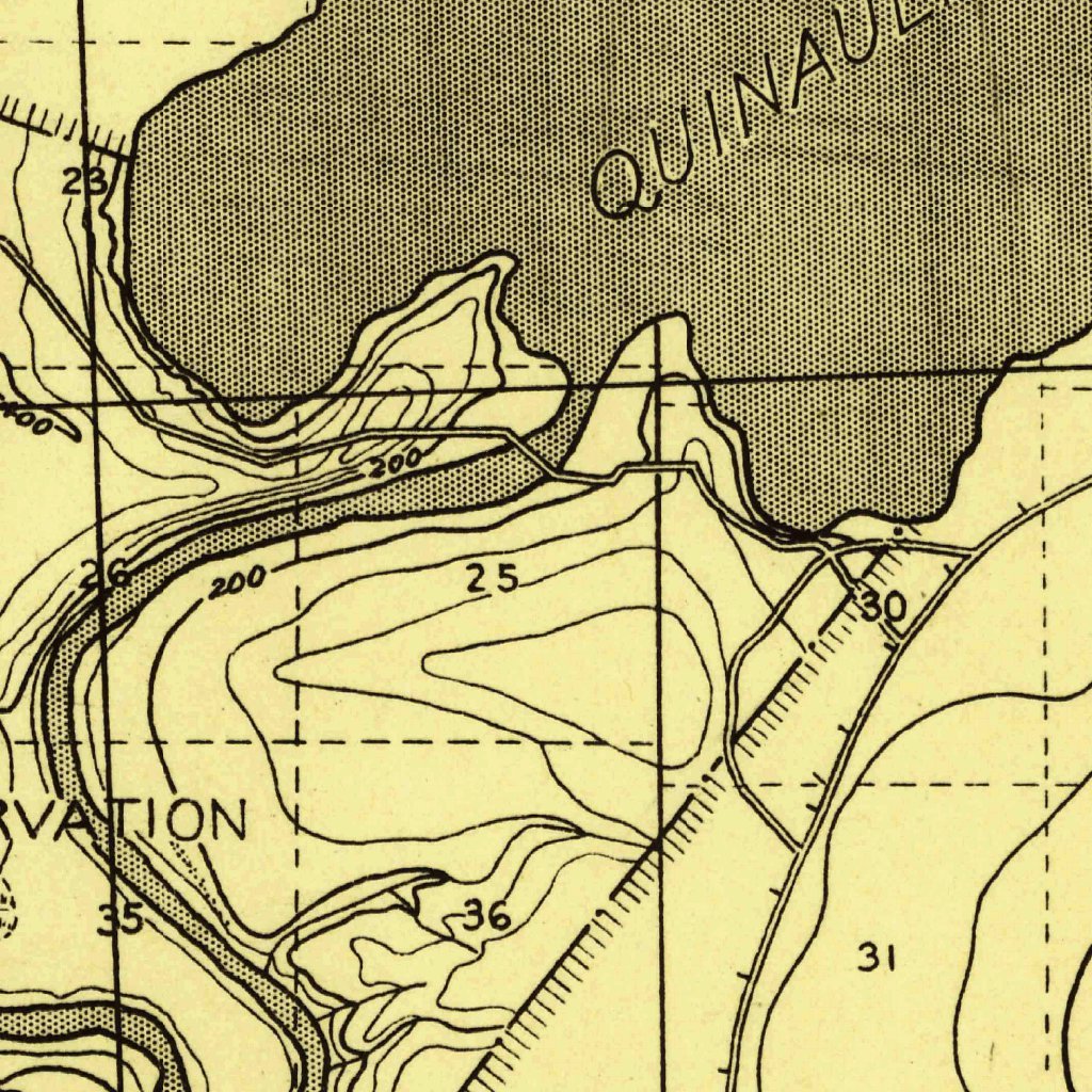Quinault Lake, WA (1921, 62500-Scale) Map by United States Geological ...