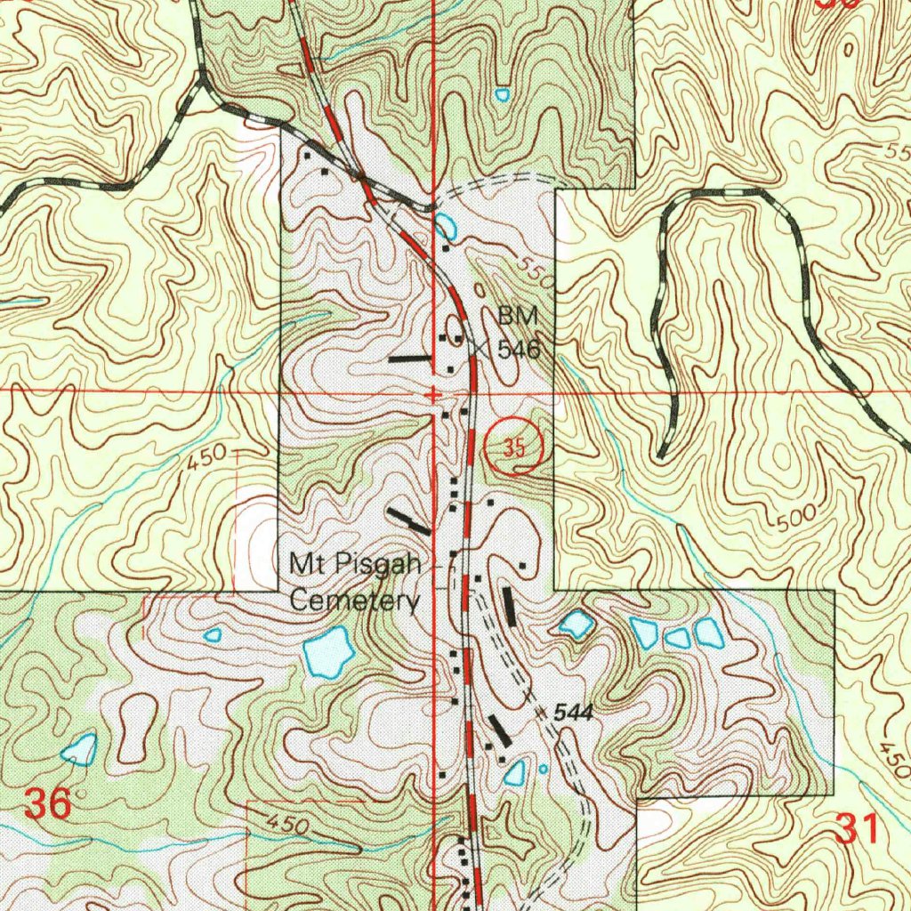 Raleigh, MS (2000, 24000-Scale) Map by United States Geological Survey ...