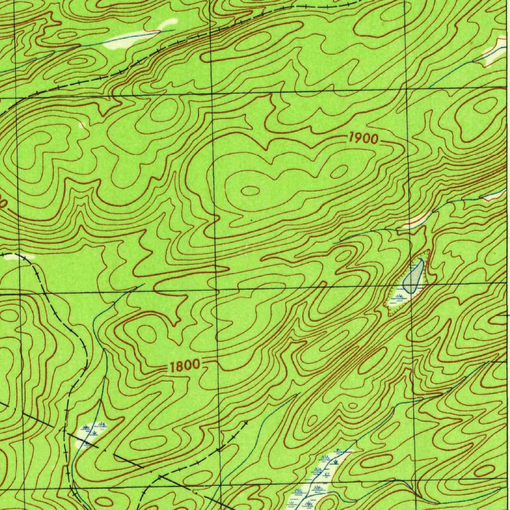 Salisbury, NY (1946, 31680-Scale) Map by United States Geological ...