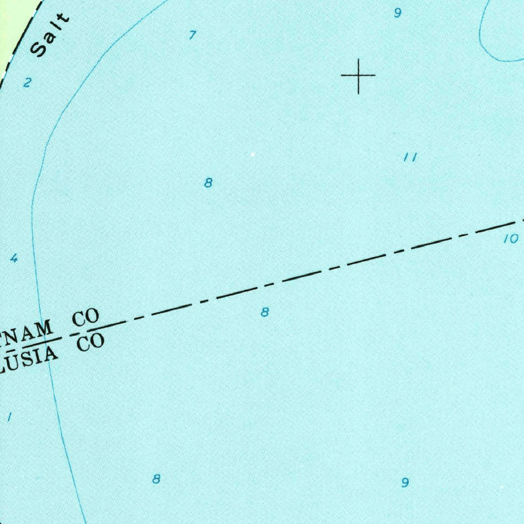 Salt Springs, FL (1970, 24000-Scale) Map by United States Geological ...