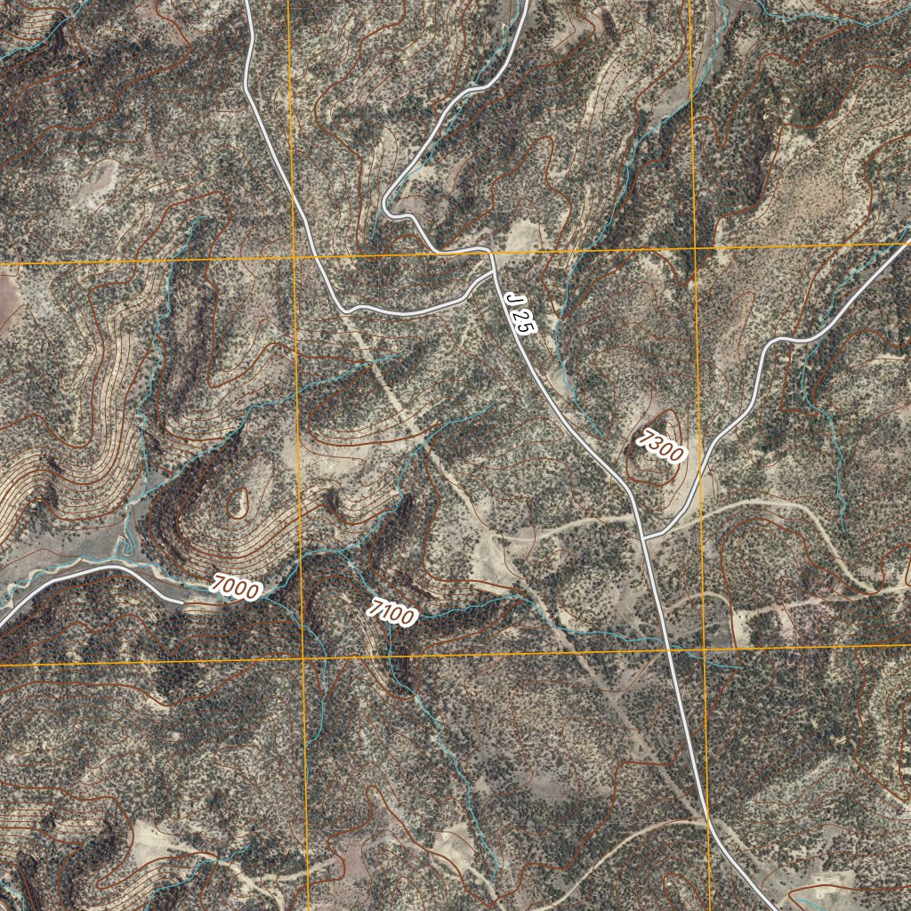 Schmitz Ranch, NM (2010, 24000-Scale) Map by United States Geological ...