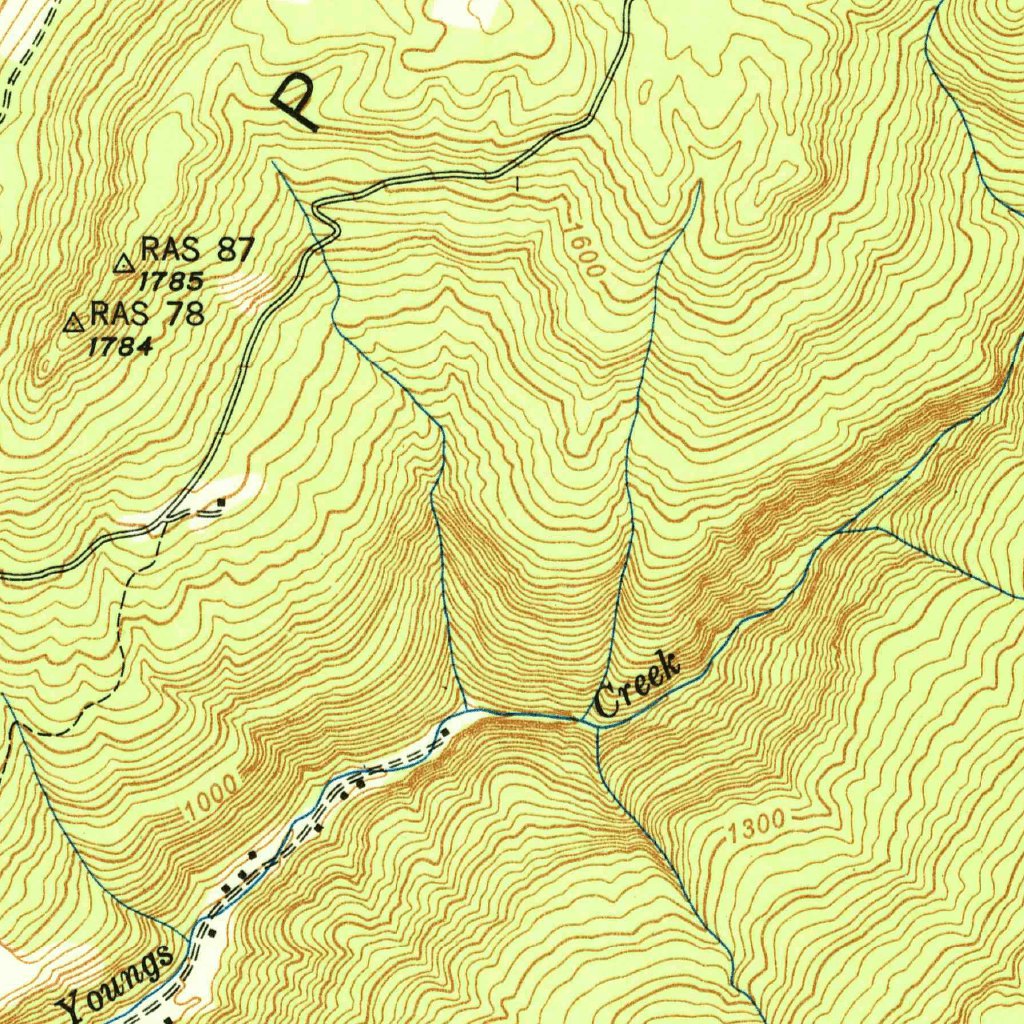 Sinking Cove, TN (1950, 24000-Scale) Map by United States Geological ...