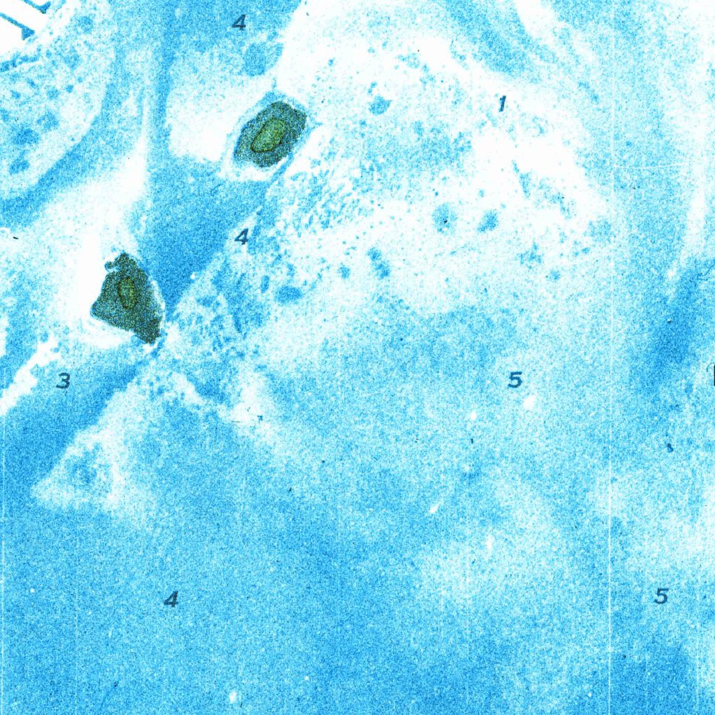Summerland Key, FL (1972, 24000-Scale) Map by United States Geological ...