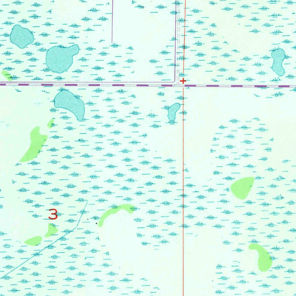 Telegraph Swamp NE, FL (1956, 24000-Scale) Map by United States ...