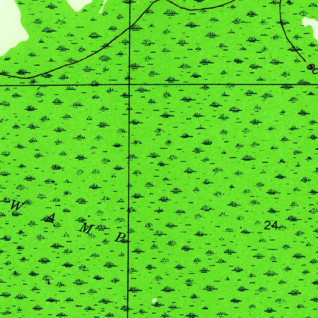 Tenmile Swamp, FL (1945, 24000-Scale) Map by United States Geological ...