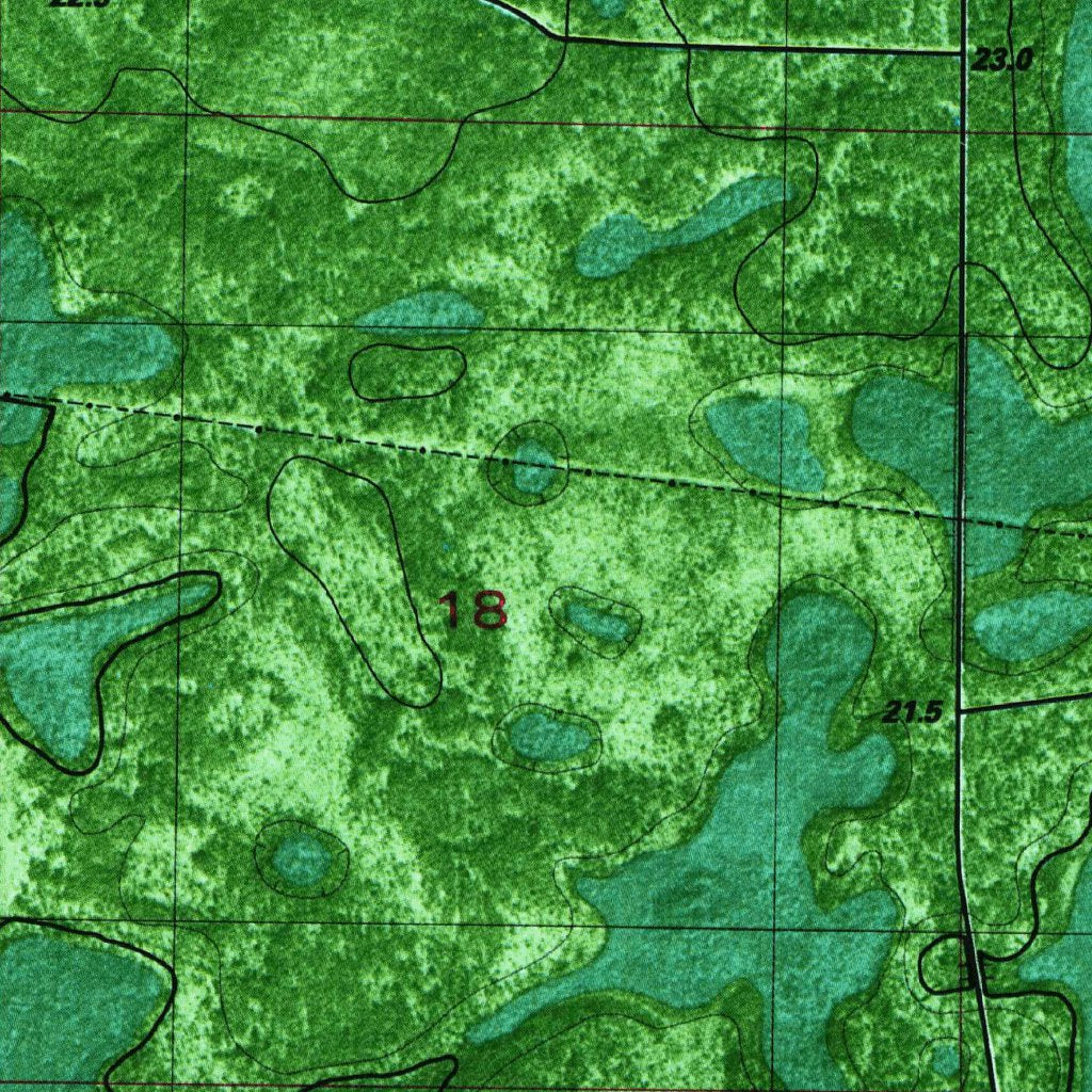 Tenmile Swamp, FL (1982, 24000-Scale) Map by United States Geological ...