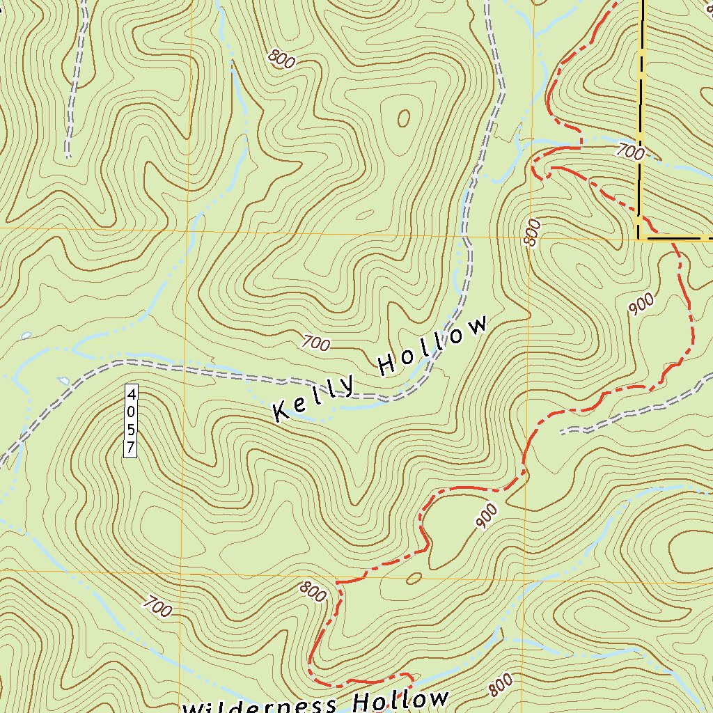 Wilderness, MO (2021, 24000-Scale) Map by United States Geological ...