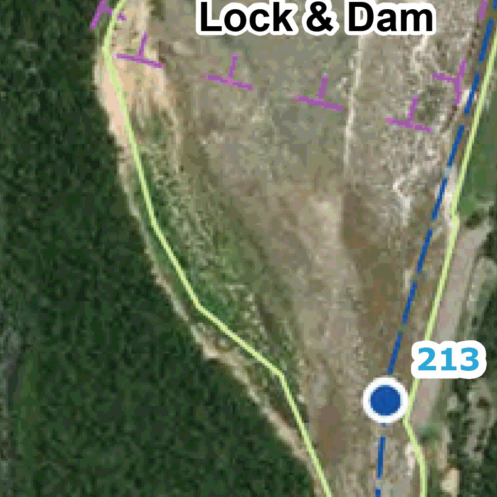 Black Warrior-Tombigbee River Navigation Chart 29 (Mile 208.7 - 214.5 ...