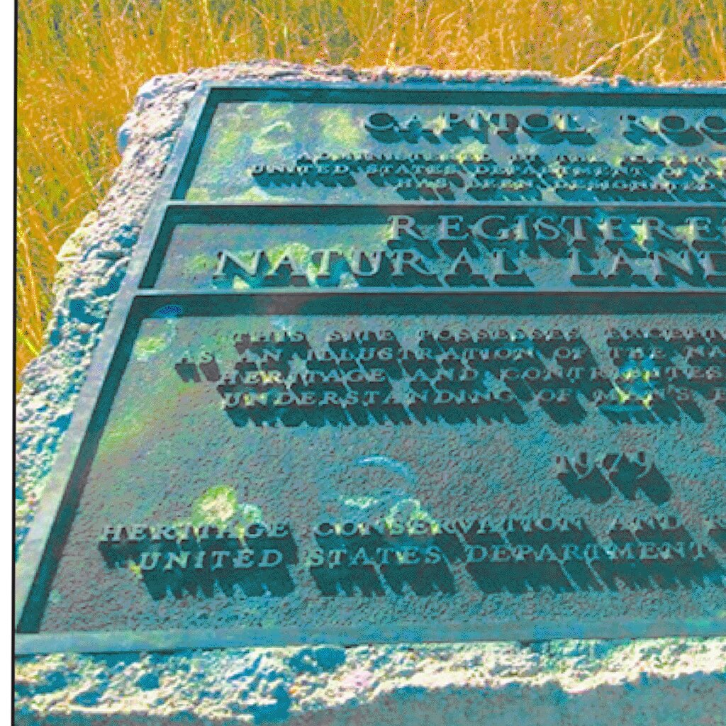 Custer NF - Sioux Ranger District West 2007 Map by US Forest Service R1 ...