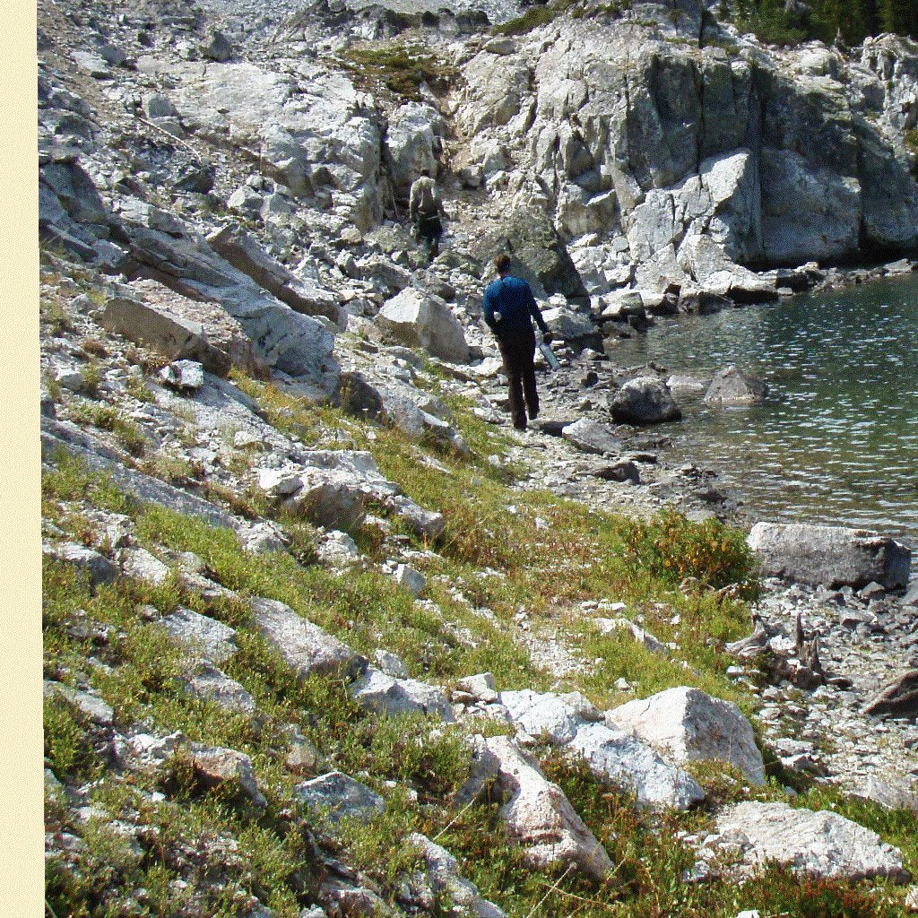 Salmon-Challis National Forest Challis West Half 2017 Map by US Forest ...