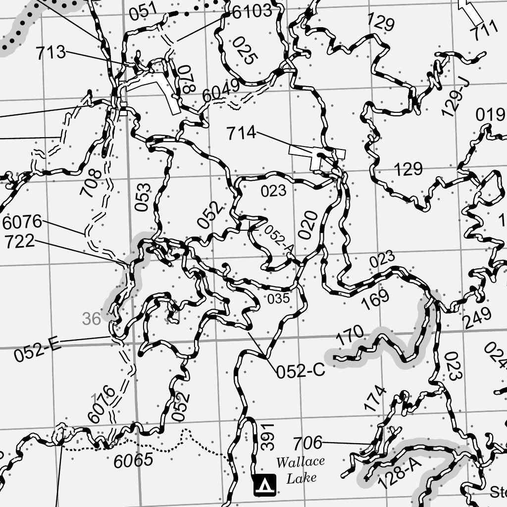 Salmon-Challis NF North Fork RD Motor Vehicle Use Map 2025 by US Forest ...