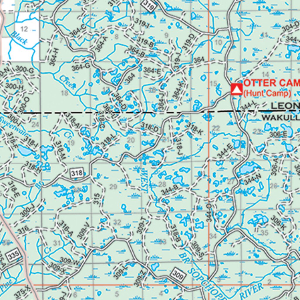 Apalachicola National Forest Visitor Map by US Forest Service R8 ...