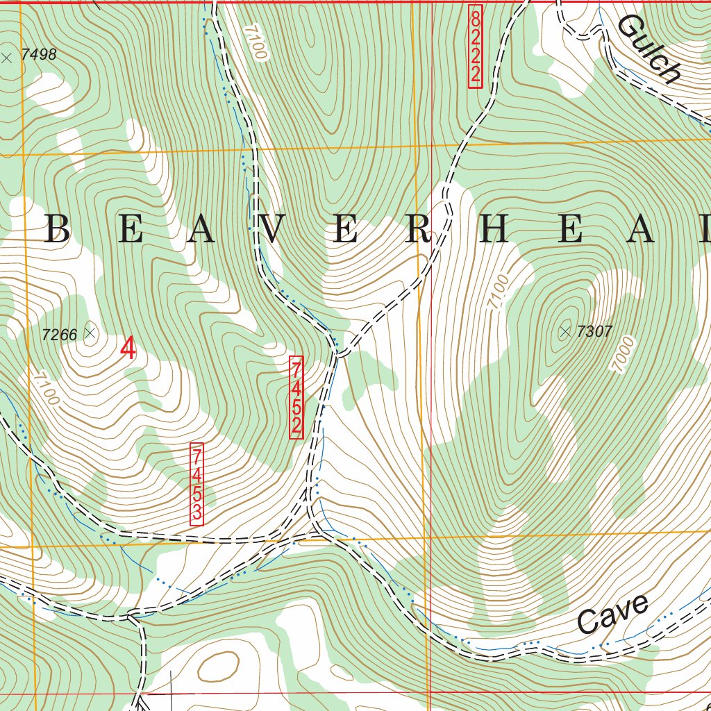 Argenta, MT FSTopo Legacy Map by US Forest Service - Topo | Avenza Maps
