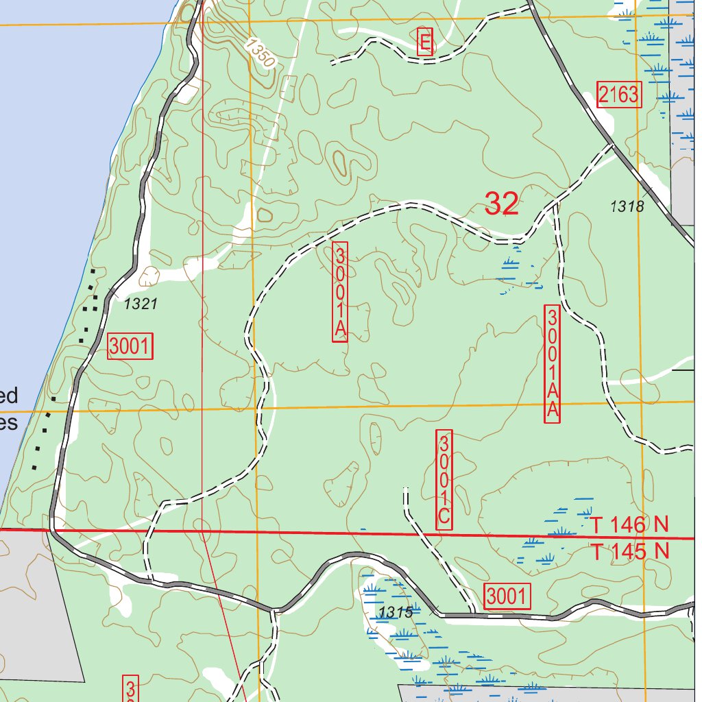 Bena NW, MN FSTopo Legacy Map by US Forest Service - Topo | Avenza Maps