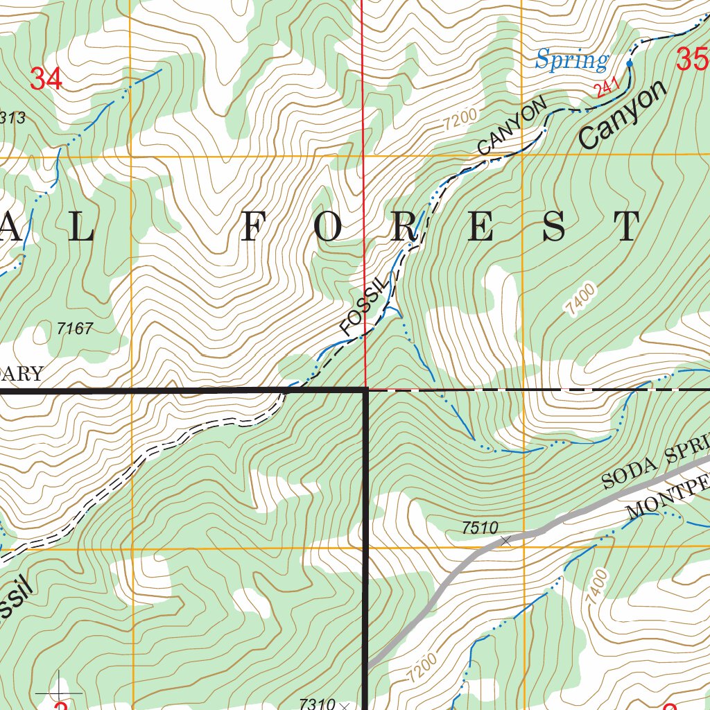 Fossil Canyon, ID FSTopo Legacy Map by US Forest Service - Topo ...