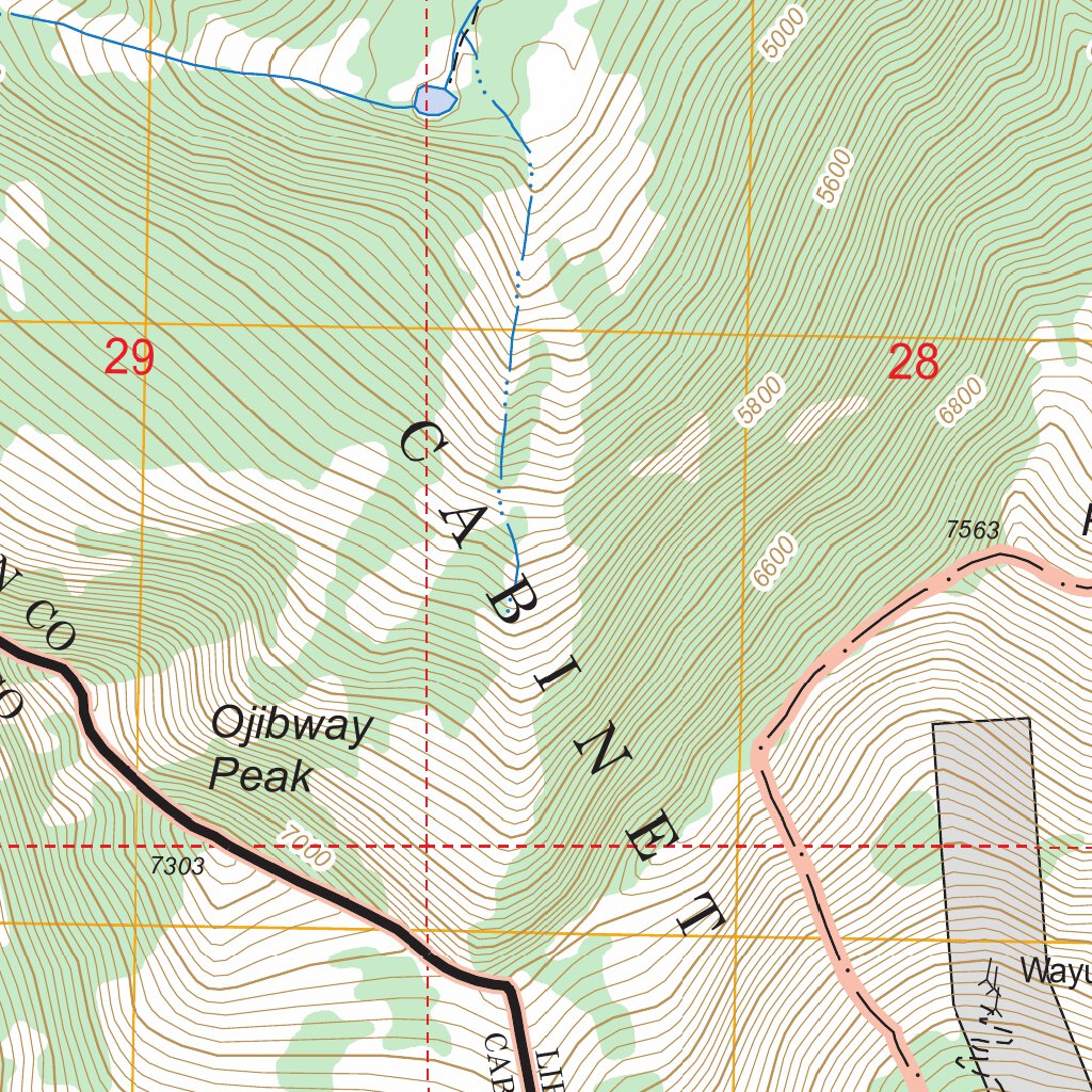 Howard Lake, MT FSTopo Legacy Map by US Forest Service - Topo | Avenza Maps