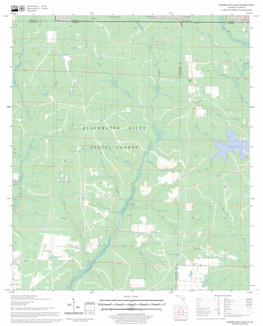 Hurricane Lake, FL - AL FSTopo Legacy Map by US Forest Service - Topo ...